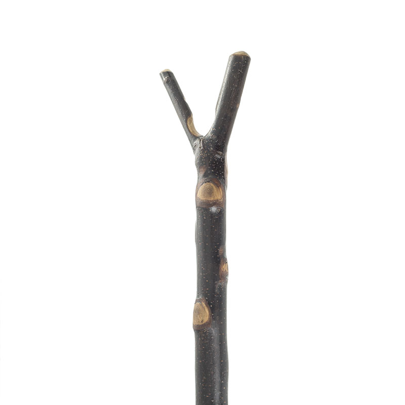 Natural Bark Finish Chestnut Thumbstick Hiking Stick | Health and Care