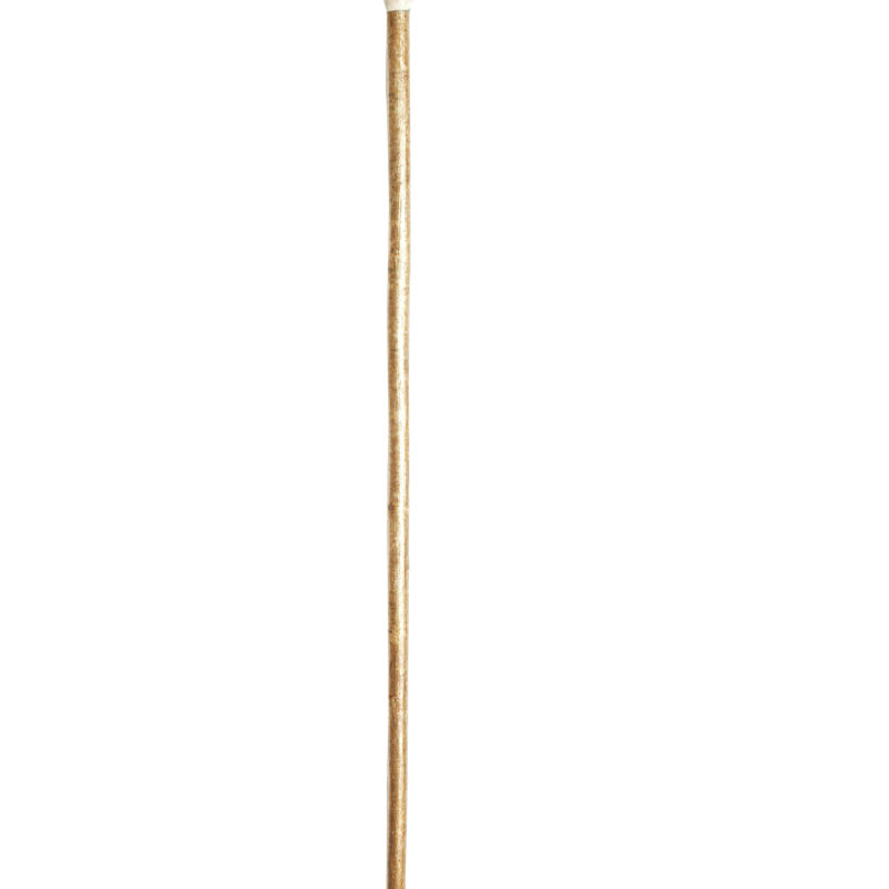 Staghorn Plain Handle Walking Stick | Health and Care