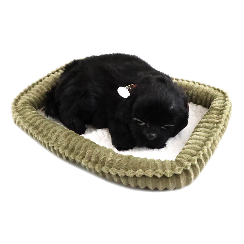 Precious Petzzz Labrador Battery Toy Dog | Health and Care