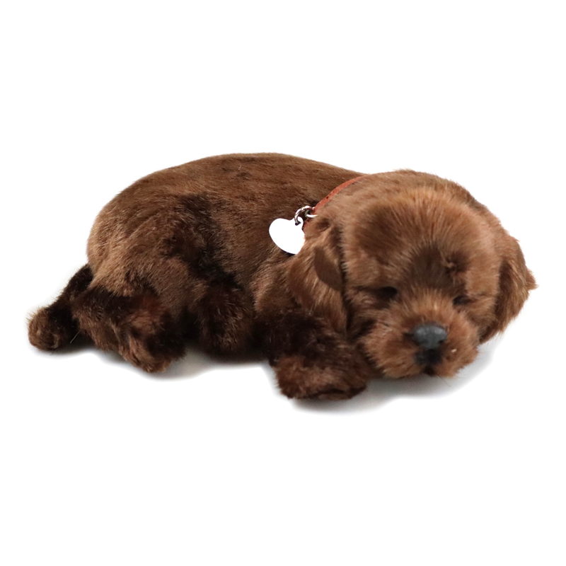 Precious Petzzz Choc Labrador Battery Dog | Health and Care