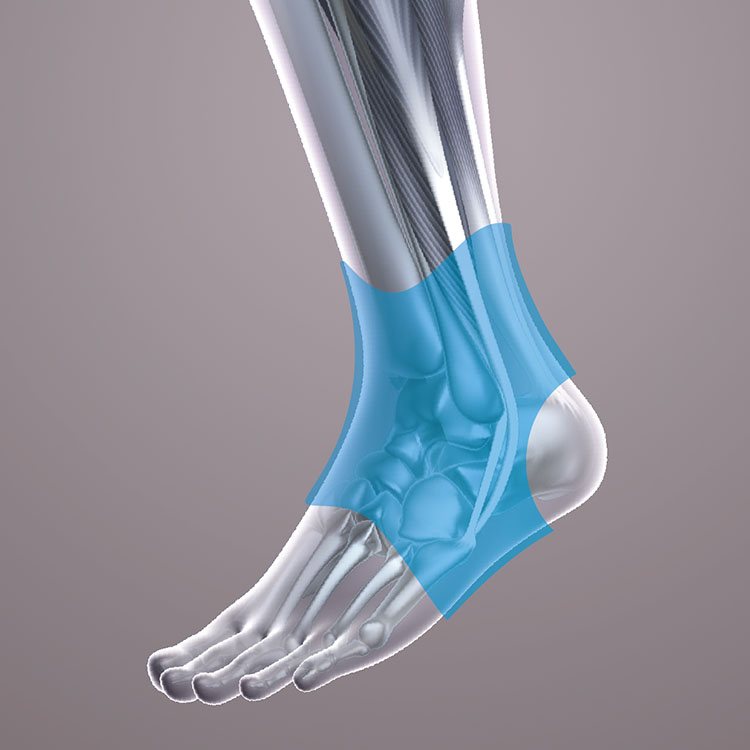 Oppo Ankle Support Brace with Strap | Health and Care