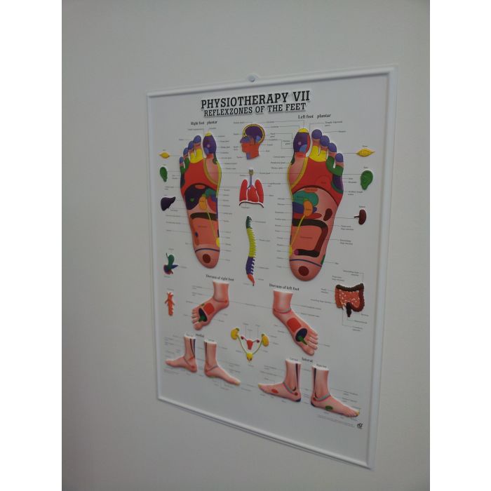 3D Feet Reflexology Poster | Health and Care