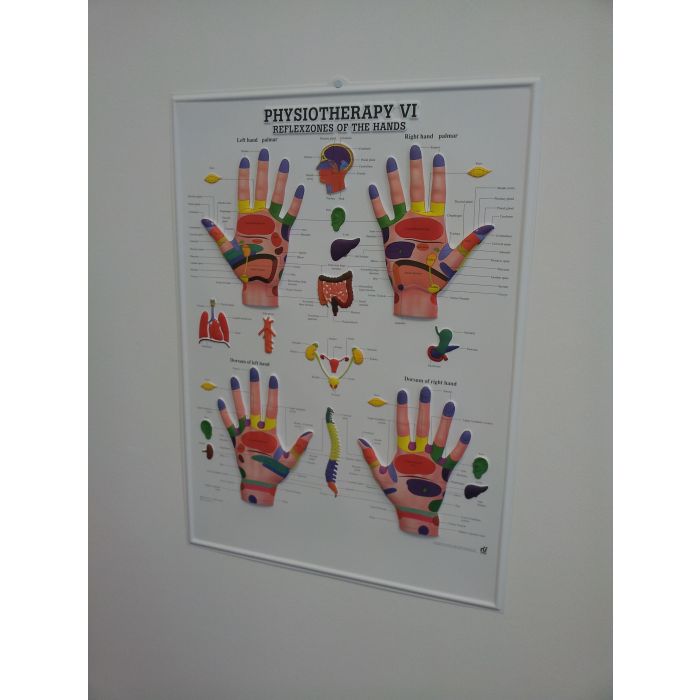 3D Hand Reflexology Poster | Health and Care