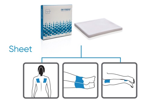 Repose DermisPlus Sheets 20x20cm (2pk) | Health and Care