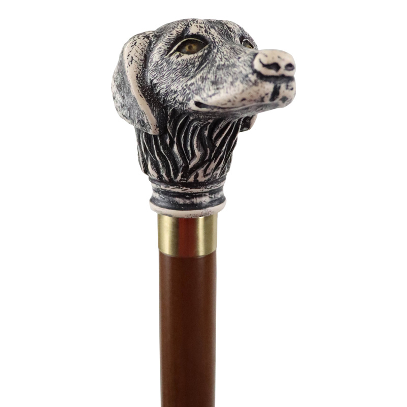 Retriever Collectors' Walking Stick | Health and Care