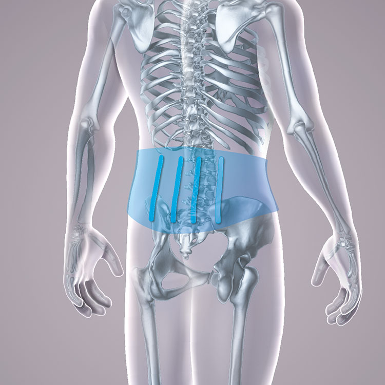 Oppo Health Back Stabilising Support Brace | Health and Care