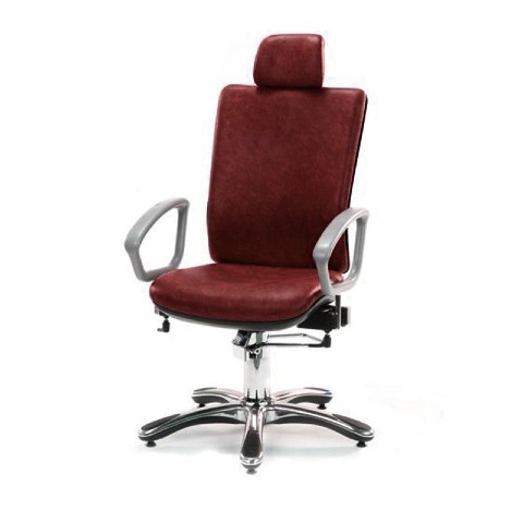 SEERS Ophthalmology Chair with Headrest | Health and Care
