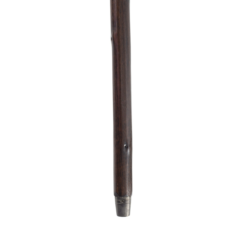 Staghorn Handle Hiking Stick | Health and Care