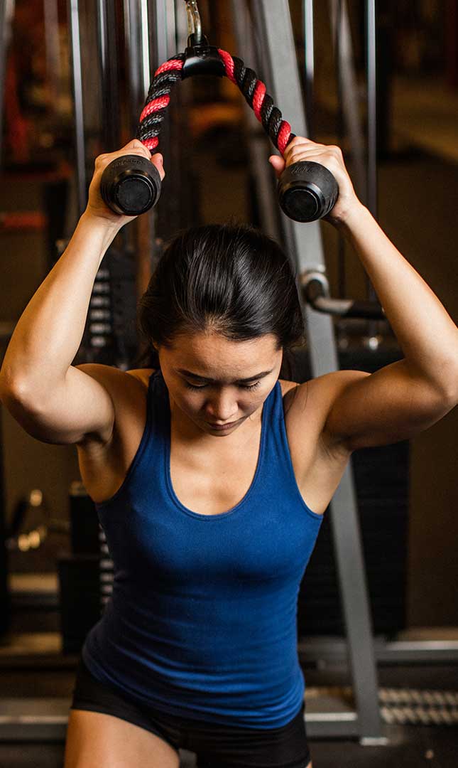 Harbinger Tricep Rope 26" | Health and Care