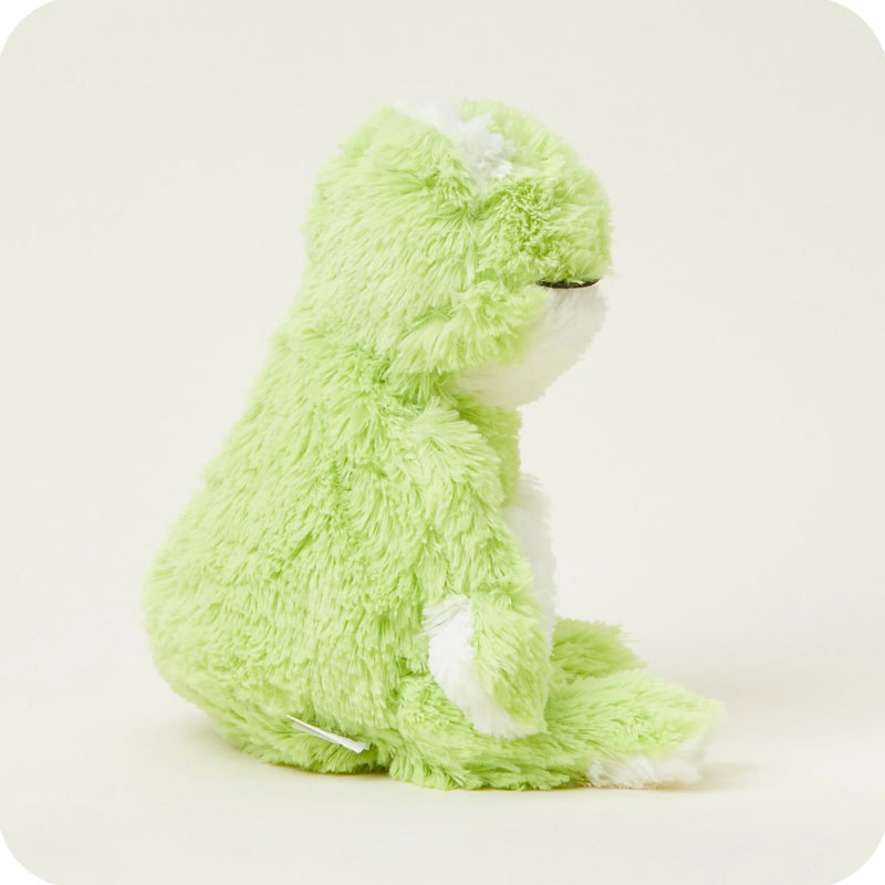 Warmies Microwavable Soft Toy (Frog) | Health and Care