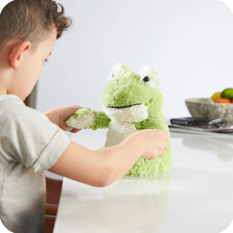Warmies Microwavable Soft Toy (Frog) | Health and Care