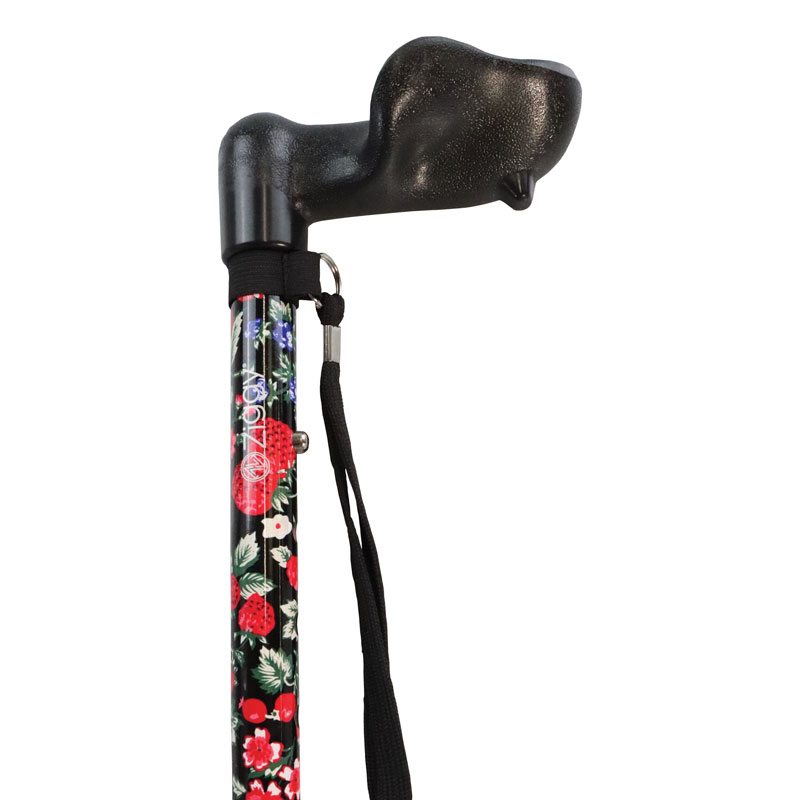 Ziggy Fruit-Pattern Walking Stick (Right) | Health and Care