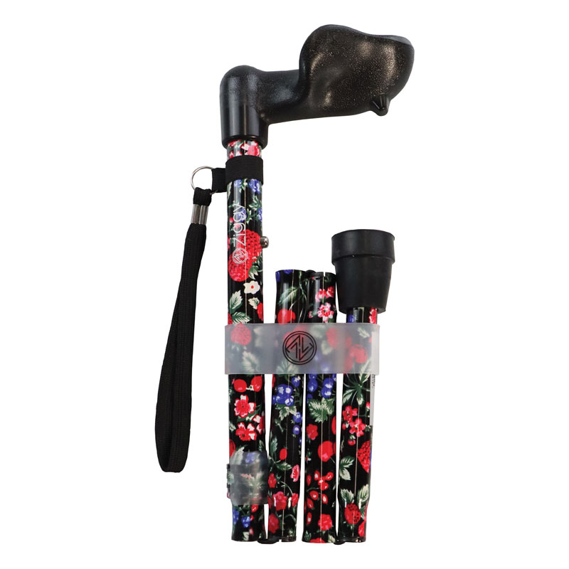 Ziggy Fruit-Pattern Walking Stick (Right) | Health and Care