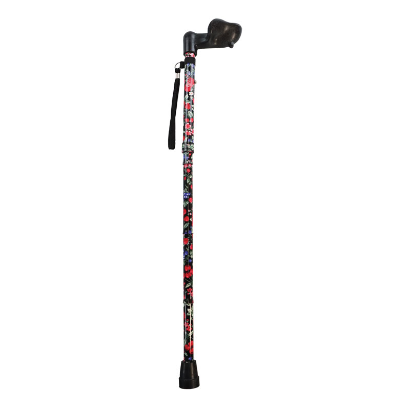Ziggy Fruit-Pattern Walking Stick (Right) | Health and Care