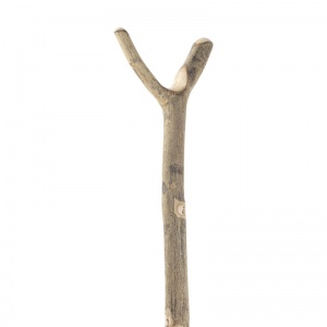 Long Ash Thumbstick Hiking Stick | Health and Care