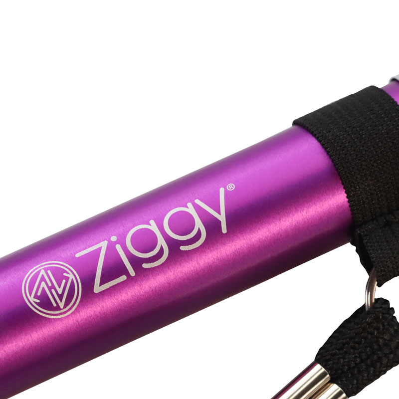 Metallic Purple Derby Walking Stick | Health and Care