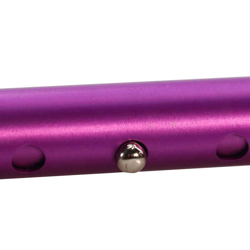 Purple Walking Sticks | Health and Care