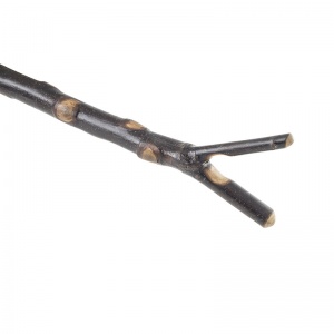 Natural Bark Finish Chestnut Thumbstick Hiking Stick | Health and Care