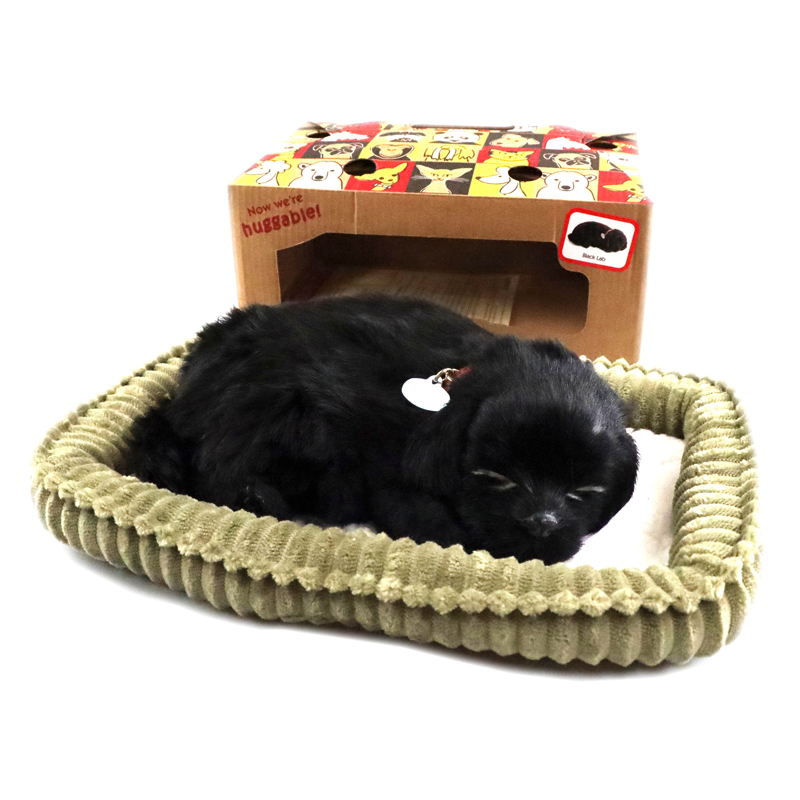 Precious Petzzz Labrador Battery Toy Dog | Health and Care