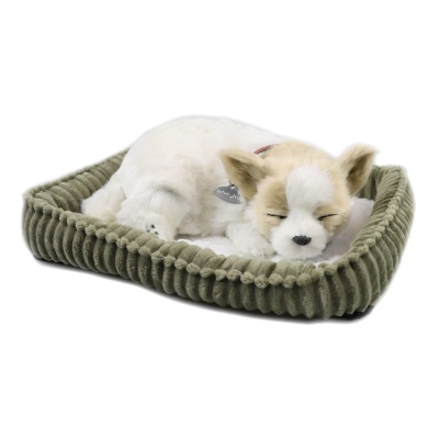 Precious Petzzz Chihuahua Battery Toy Dog | Health and Care