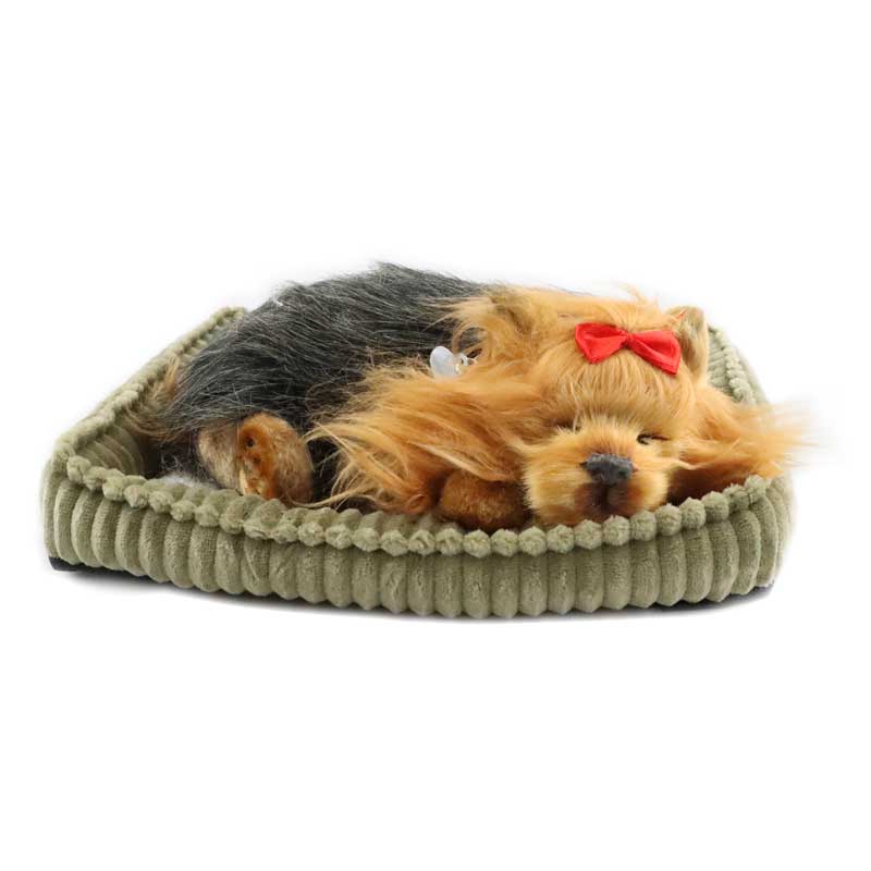 Precious Petzzz Yorkshire Terrier Toy Dog | Health and Care