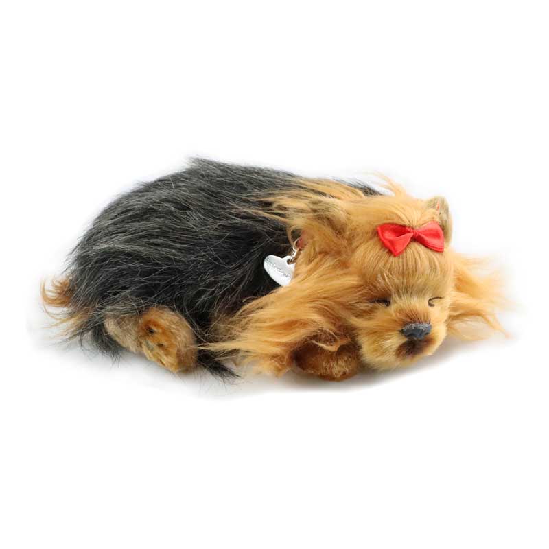 Precious Petzzz Yorkshire Terrier Toy Dog | Health and Care