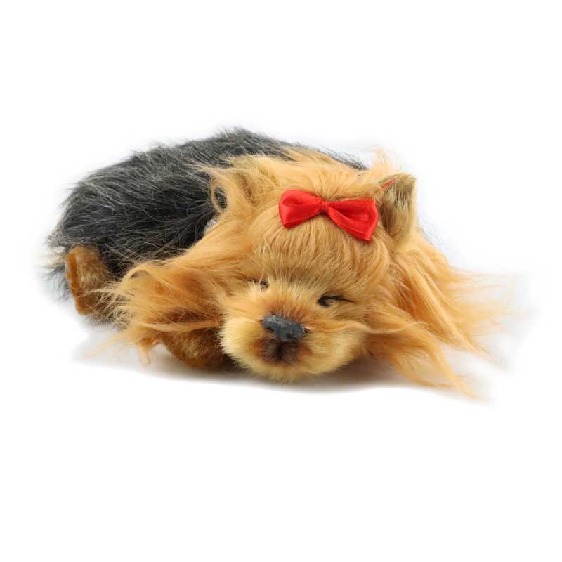 Precious Petzzz Yorkshire Terrier Toy Dog | Health and Care