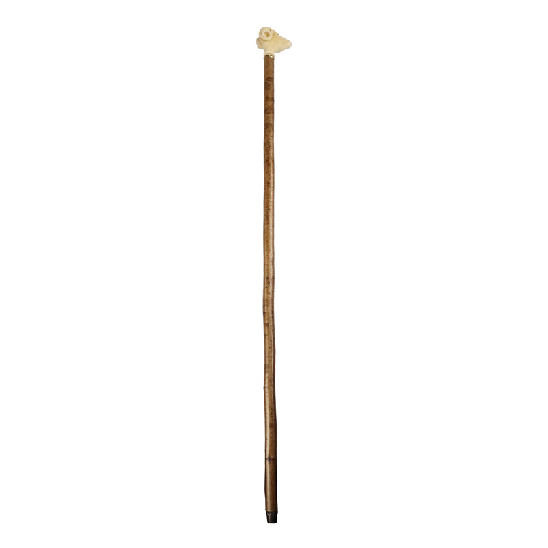 Stout Hazel Knob Handle Walking Stick | Health and Care
