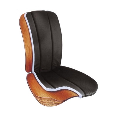Back Support Cushions and Back Rests | Health and Care