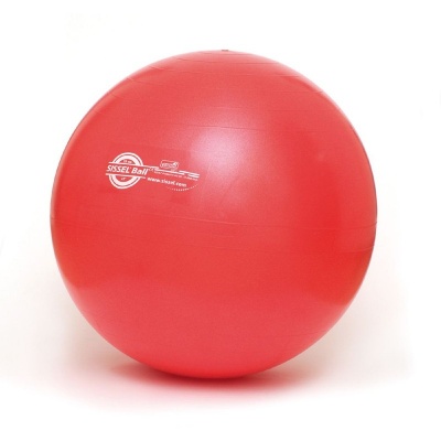 Swiss Balls & Gym Balls | Health and Care