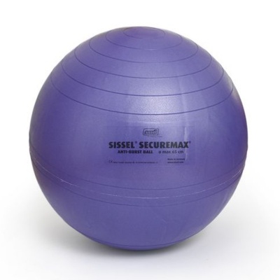 Sissel Securemax Physio Exercise Ball | Health and Care