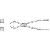 Bone Holding Forceps | Health and Care