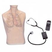 Auscultation Trainers | Health and Care