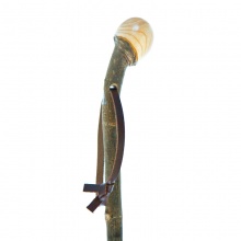 Applewood Knobstick Walking Stick | Health and Care