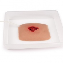 MedEduQuest Open Fracture Wound Packing Trainer, Wound Dressing ...