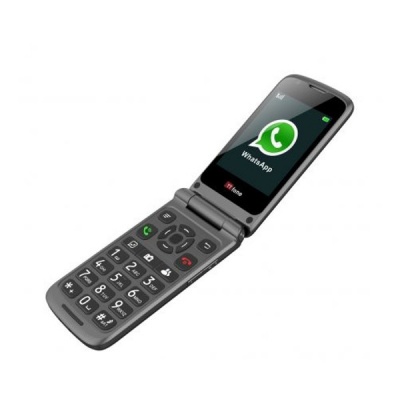 TTfone TT970 4G Flip Phone with SOS Button | Health and Care