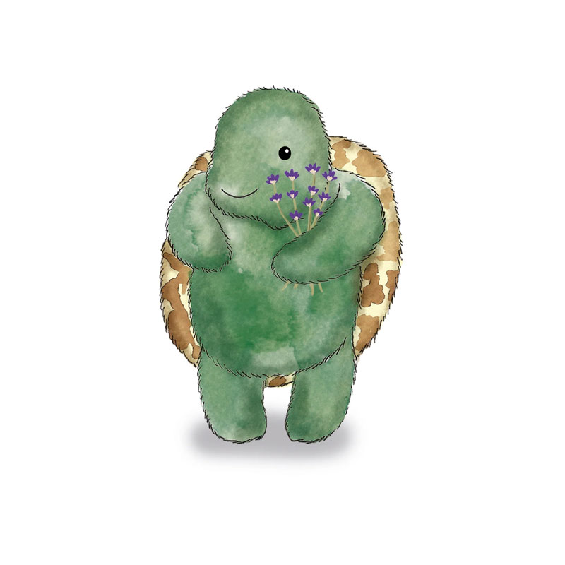 Warmies Microwavable Soft Toy (Baby Turtle) | Health and Care