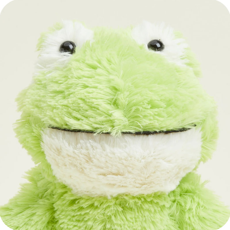 Warmies Microwavable Soft Toy (Frog) | Health and Care