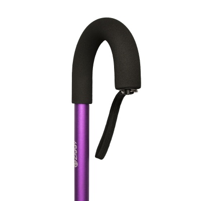 Purple Walking Sticks | Health and Care