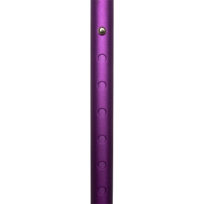 Purple Walking Sticks | Health and Care
